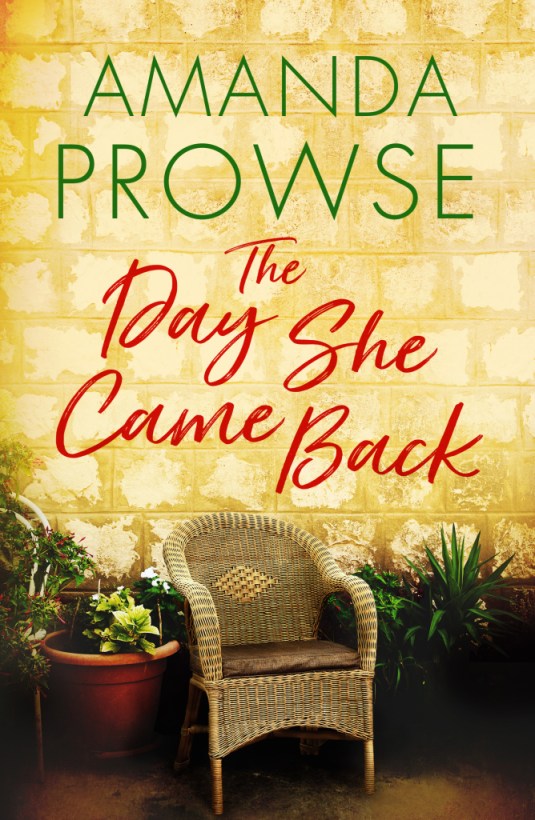 The Day She Came Back by @MrsAmandaProwse #BookTour #BlogTour | But I ...